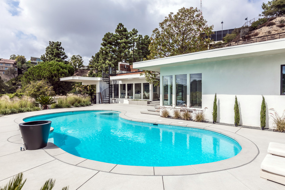 Full renovation project in Los Angeles. Mulholland/Laural - Contemporary - Pool - Los Angeles ...