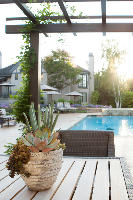 Harris - Traditional - Pool - San Francisco - by Design Focus ...
