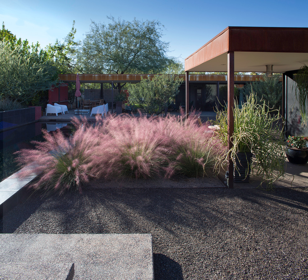 Heiny Residence - Midcentury - Landscape - Phoenix - by 180 degrees | Houzz
