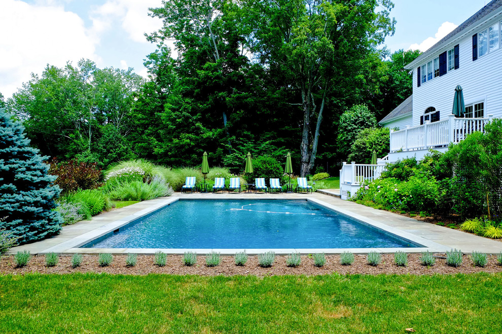 Hillside Beautification - Contemporary - Pool - New York - by Green Jay ...