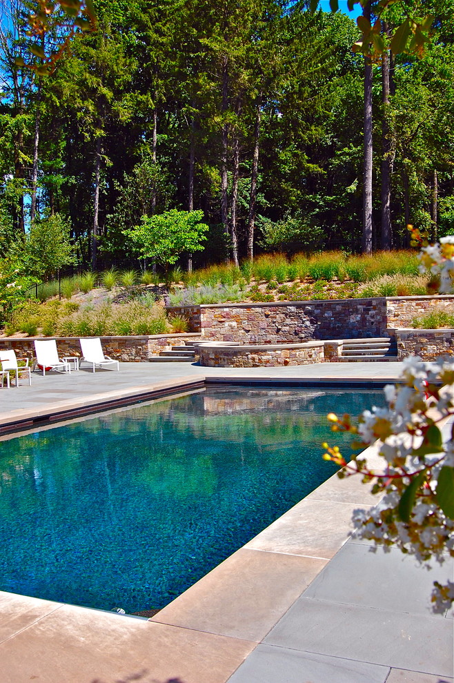 Howard Roberts - Traditional - Pool - New York - by Liquidscapes | Houzz