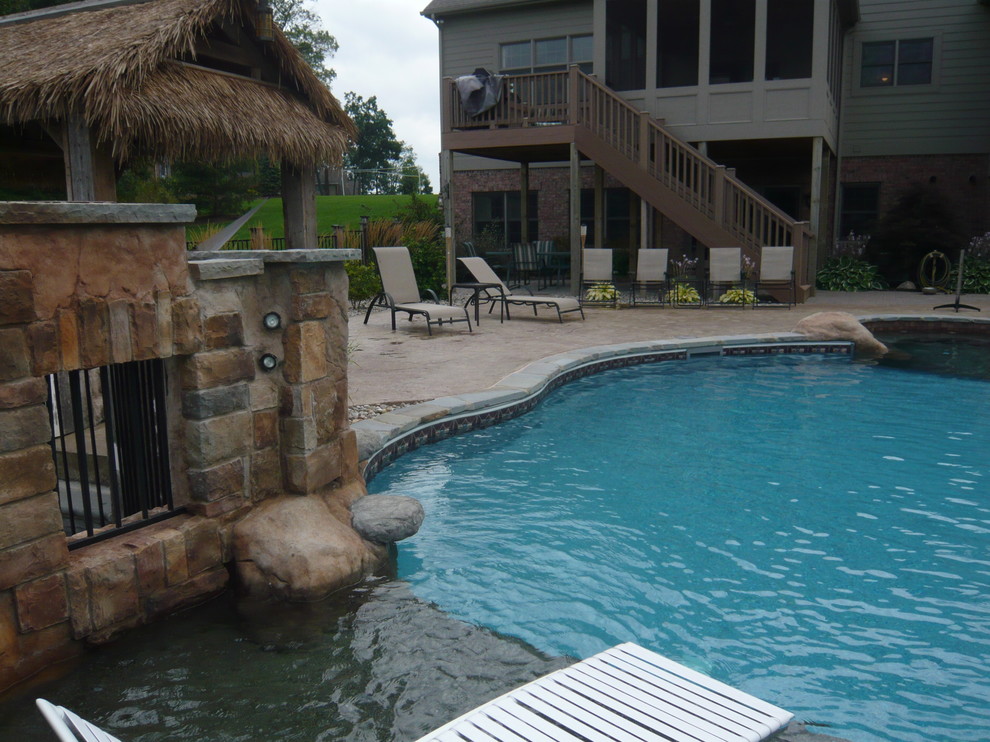 Hybrid Swimming Pool {PLO} - Tropical - Pool - Detroit - by Legendary ...