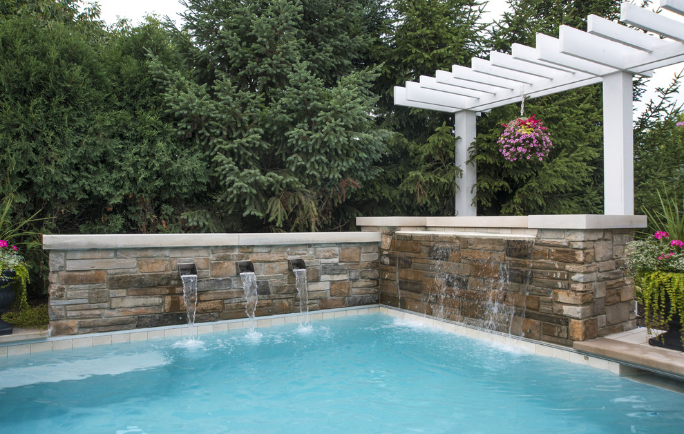Hydrotherapy Plunge Pool - Pool - Chicago - by Platinum Poolcare | Houzz