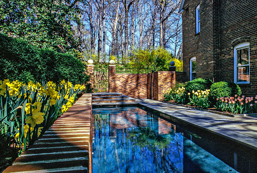Impossible Lap Pool - Traditional - Pool - DC Metro - by Garden Gate ...