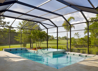 Infinity edge spa - Transitional - Pool - Tampa - by Waterscapes Pools ...