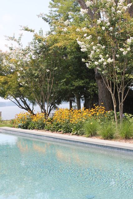 Infinity Pools - Modern - Pool - Baltimore - by Elite Pools | Houzz AU