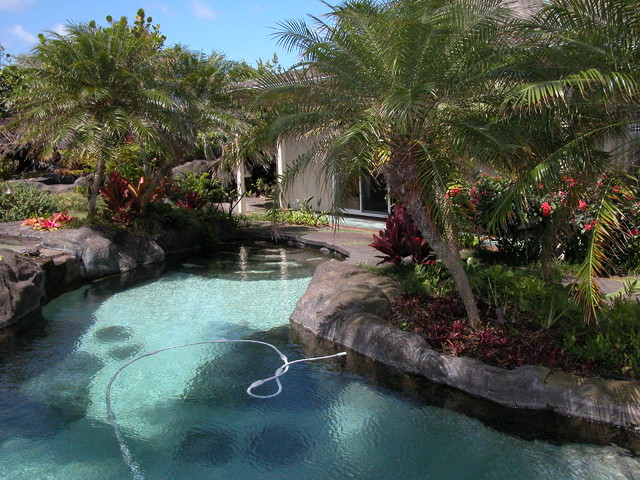 Pool Design Ideas Hawaii