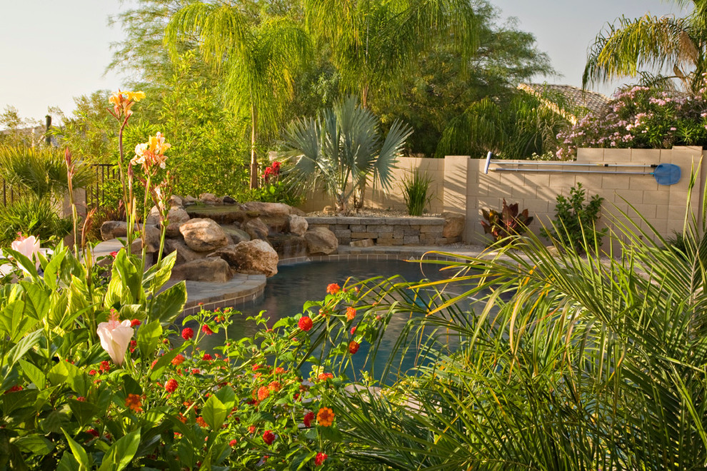 Landscapes - Tropical - Pool - Phoenix - by CYC Landscaping | Houzz