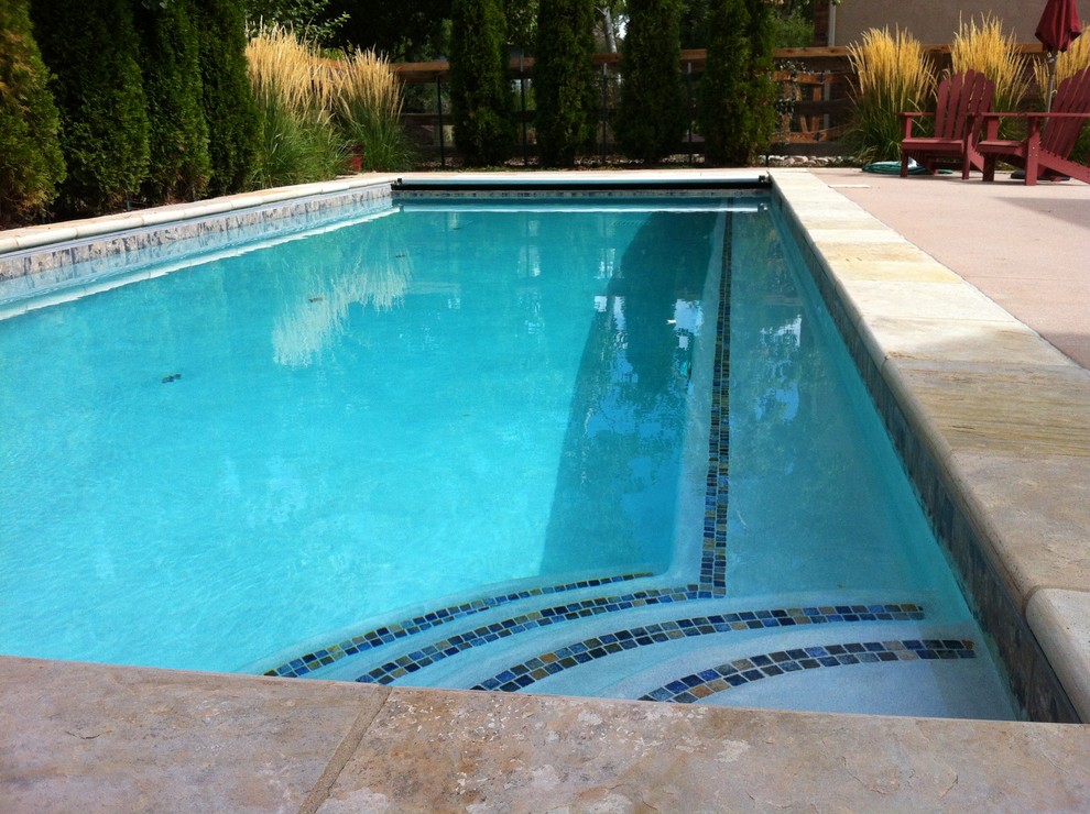 Lap Pool - Traditional - Pool - Denver - by Phase One Landscapes | Houzz