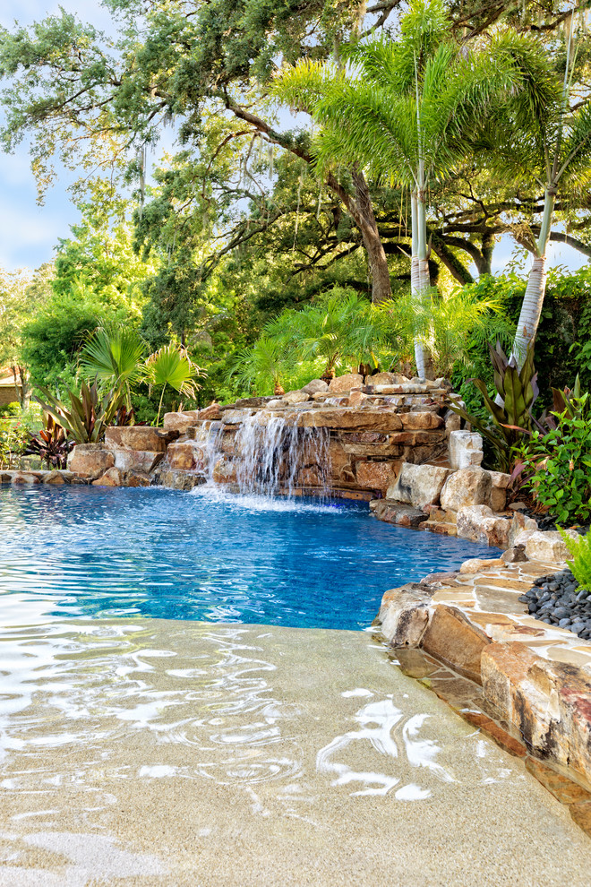 Large Natural Tropical Pool & Landscape - Tropical - Pool - Tampa - by ...