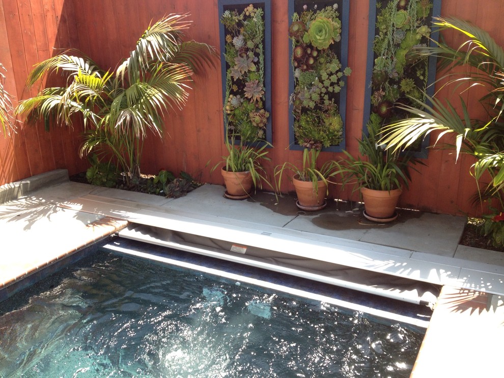 Long Beach - Traditional - Pool - Orange County - by Aqua-Link Pools ...