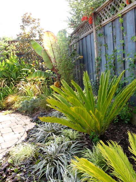 Los Altos Landscape Garden Design - Green Patio - Mediterranean ...