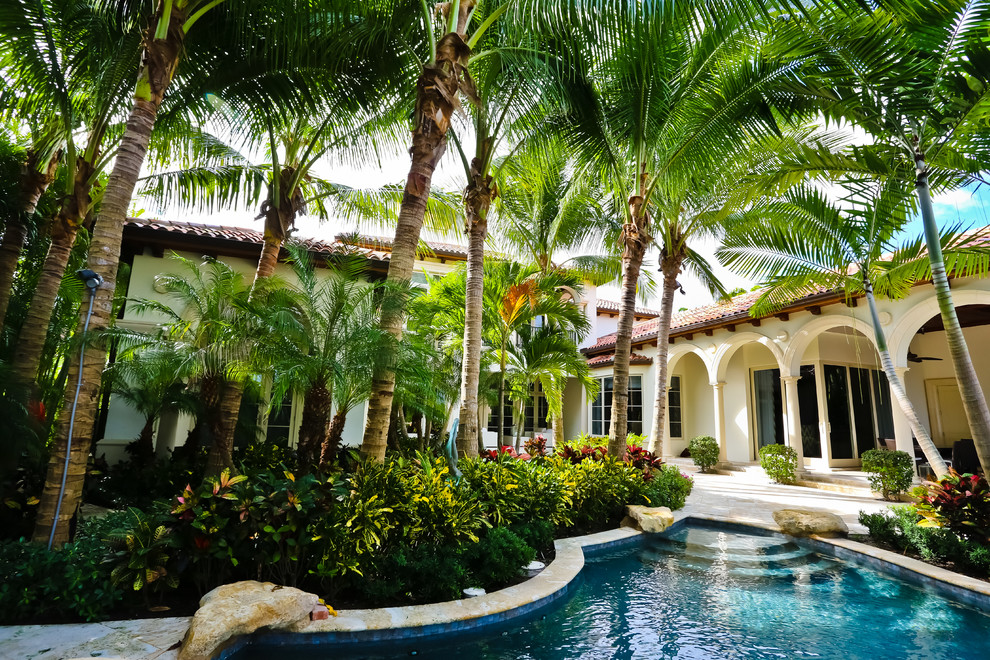 Lush Tropical Pool and Landscape - Tropical - Pool - Miami - by Tony ...