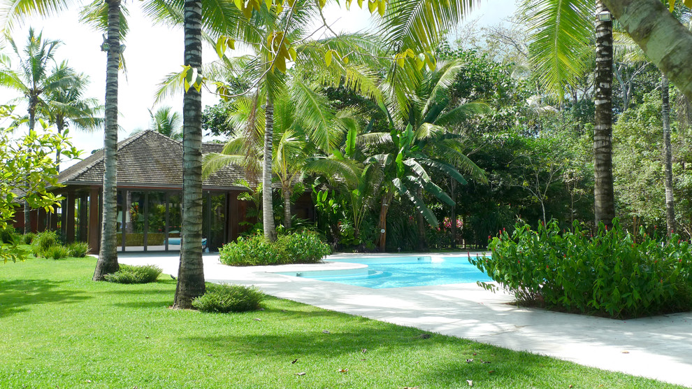 Luxury Eco Resort - Tropical - Pool - Other - by ANDRES MONTERO ...