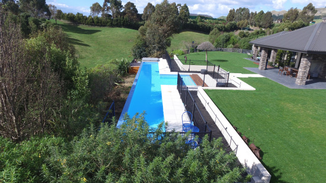 Mayfair Pools Gold Pool of the Year 2019 - Modern - Pool - Napier ...