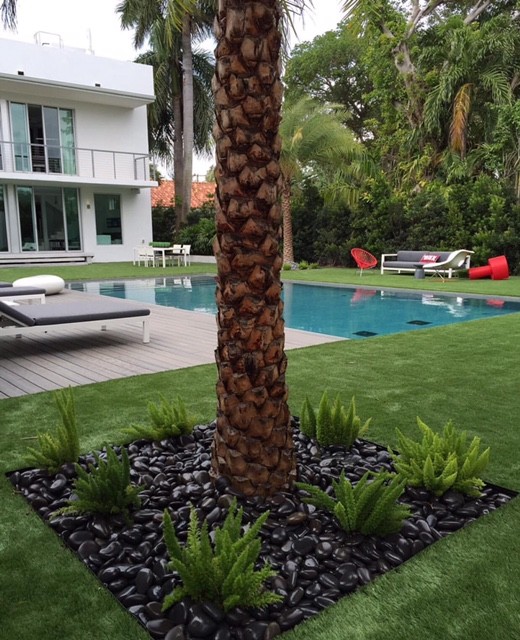 Miami Beach - Modern - Pool - Miami - by Monster Grass Artificial Turf ...