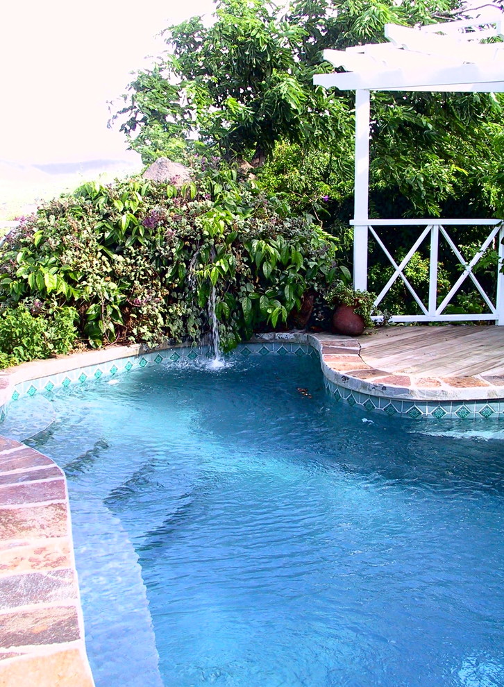 Michael Pascall Architect - Tropical - Pool - Other - by Michael ...