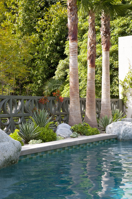 Mid Century Modern Pool Landscape Design A Palm Springs