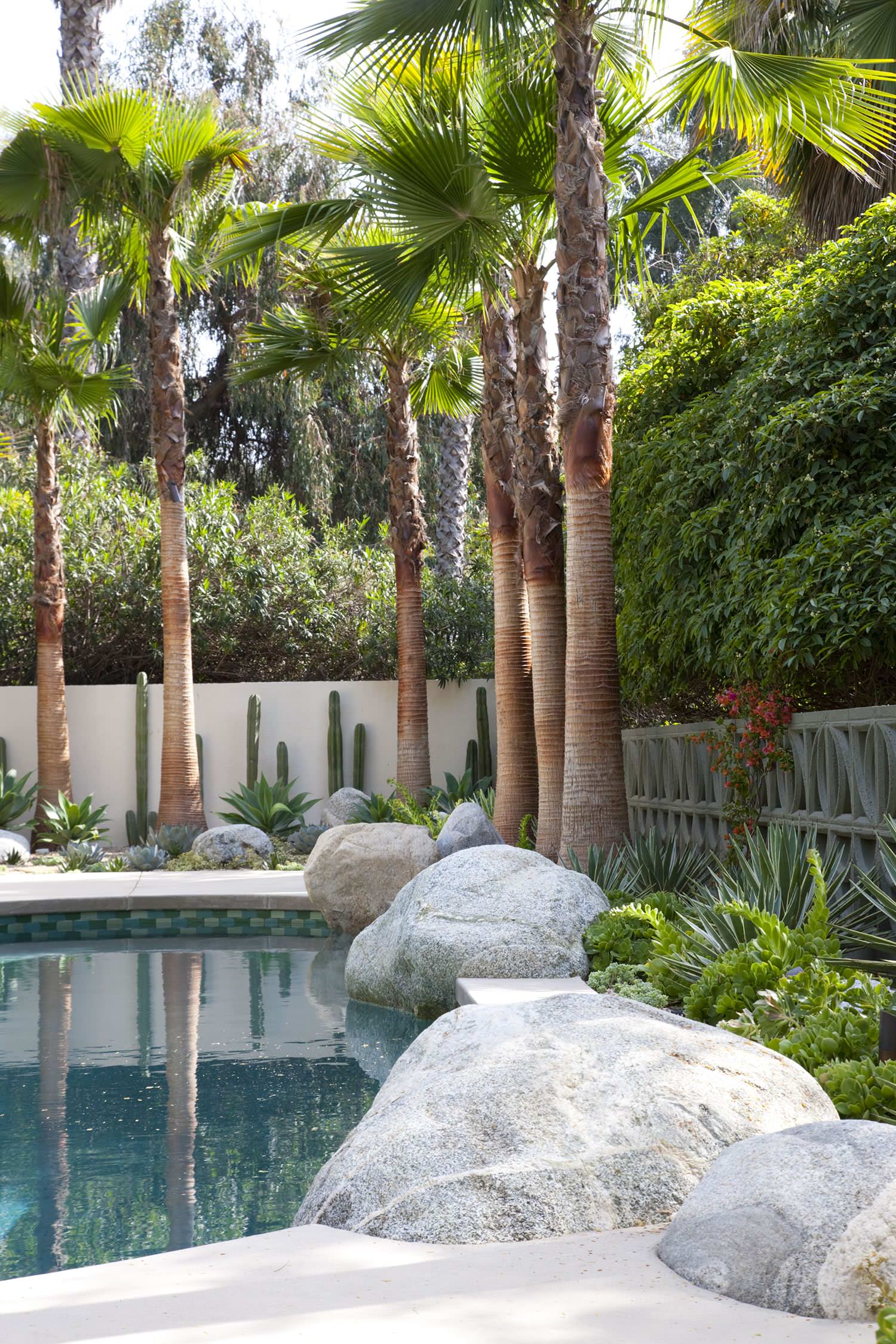 Mid Century Modern Pool Landscape Design A Palm Springs