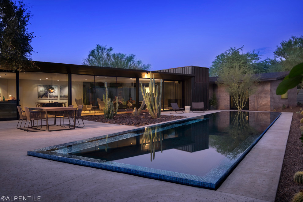Mid-Century Modern Reflection Pool - Modern - Pool - Phoenix - by ...