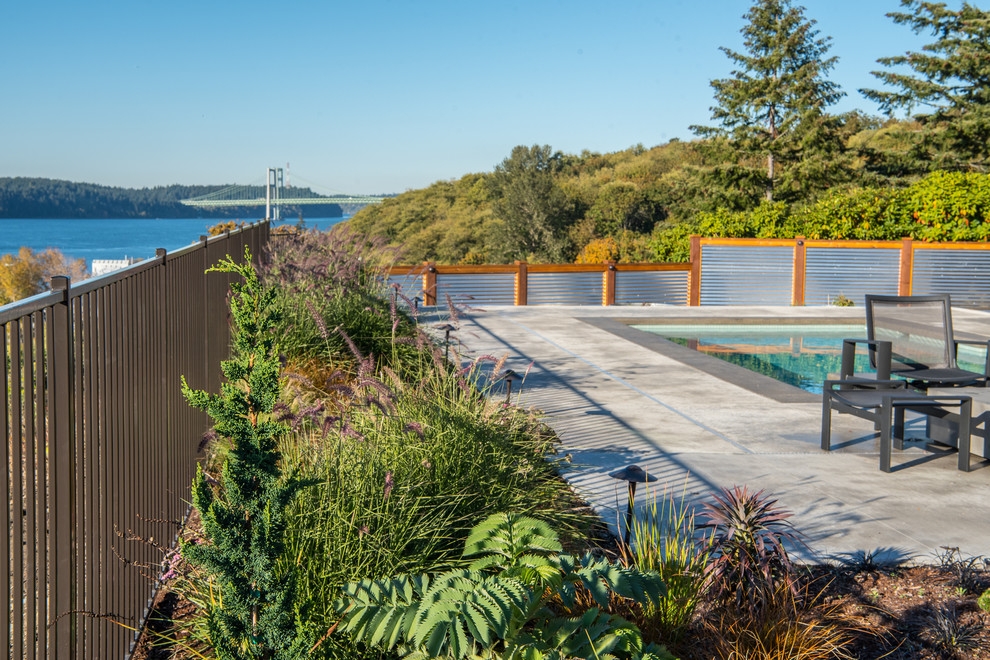 Mid Century Modern Remodel - Contemporary - Pool - Seattle - by Reikow ...