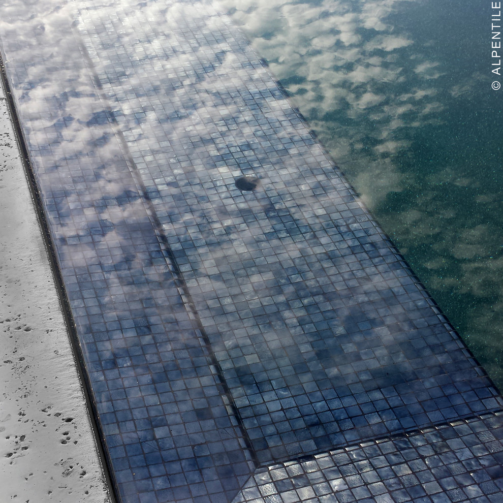 Mid-Century Reflection Pool - Modern - Swimming Pool & Hot Tub ...