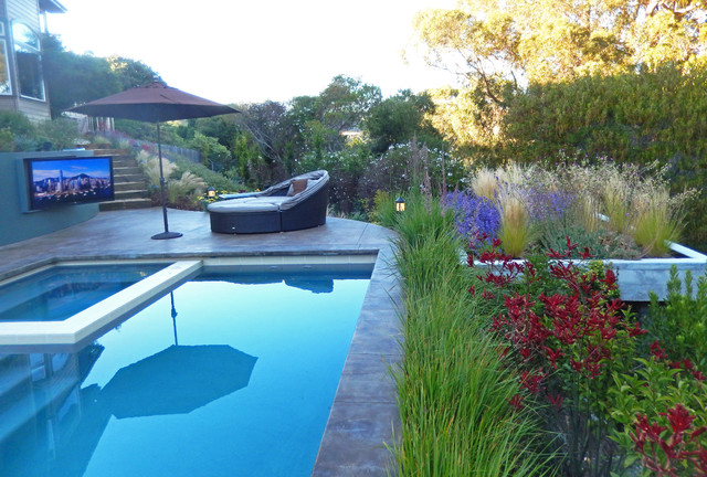 Mill Valley Hillside Garden - Contemporary - Pool - San Francisco - by ...