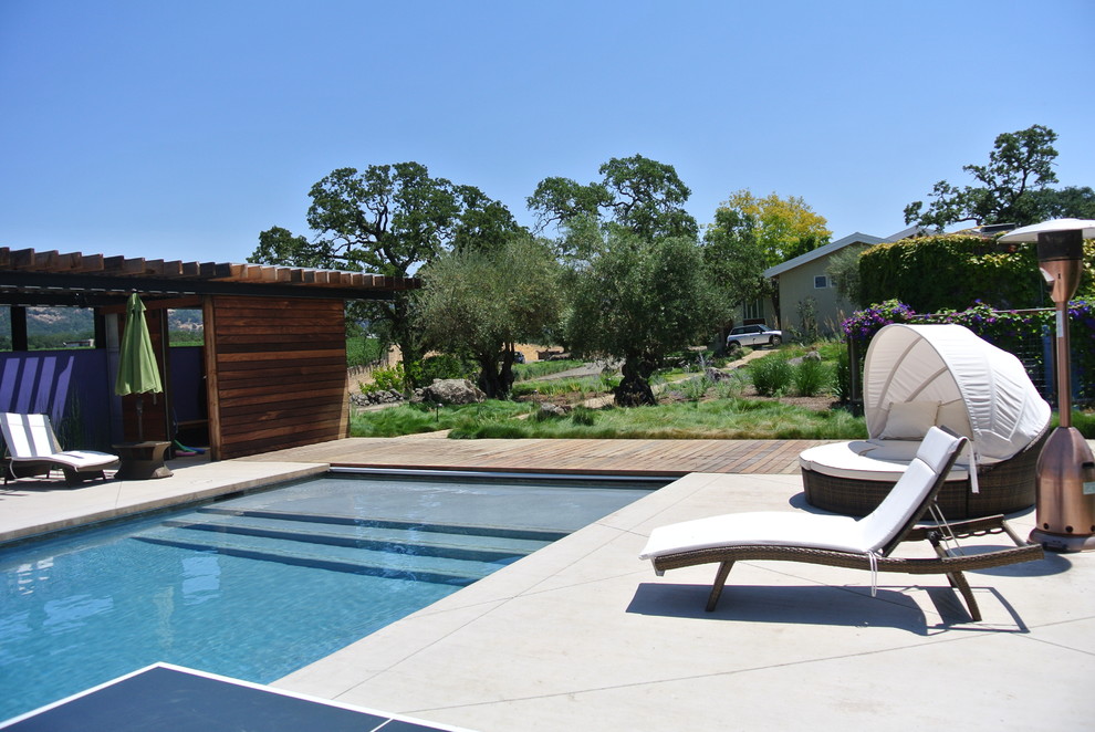 Modern Pool - Modern - Pool - San Francisco | Houzz