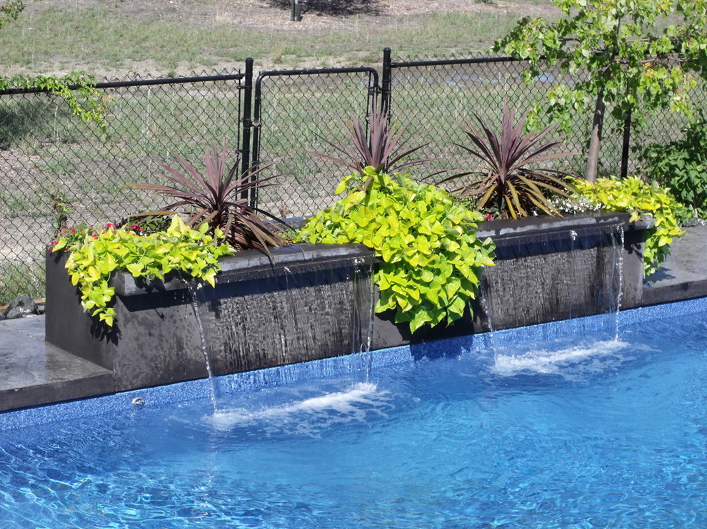 Modern Rectangle Pool Design - Tropical - Swimming Pool & Hot Tub ...
