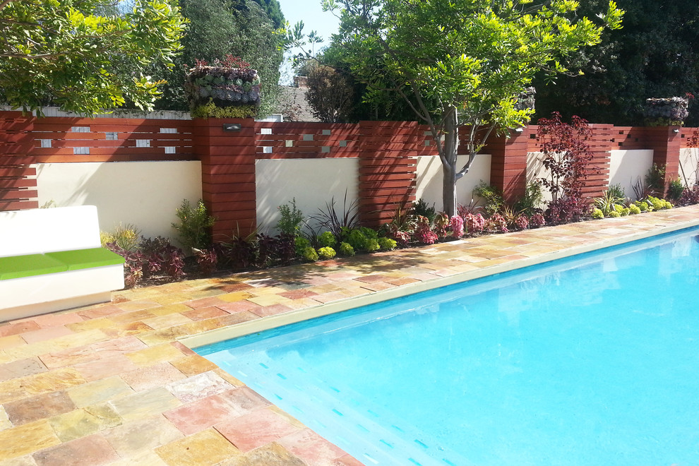 Mondrian Inspired - Modern - Swimming Pool & Hot Tub - Los Angeles - by ...