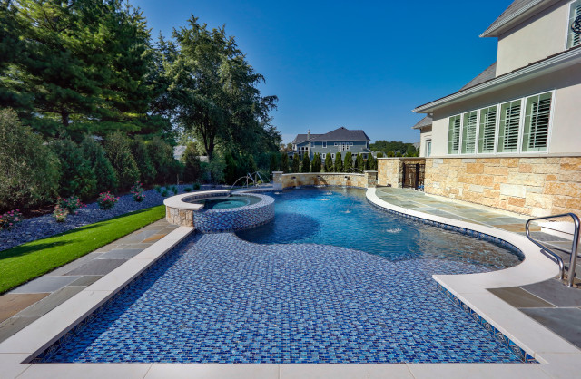 Naperville, IL freeform swimming pool with hot tub, large sunshelf ...