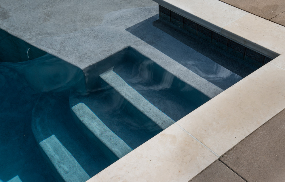 Naperville, IL Swimming Pool With Offset Sunshelf - Traditional ...