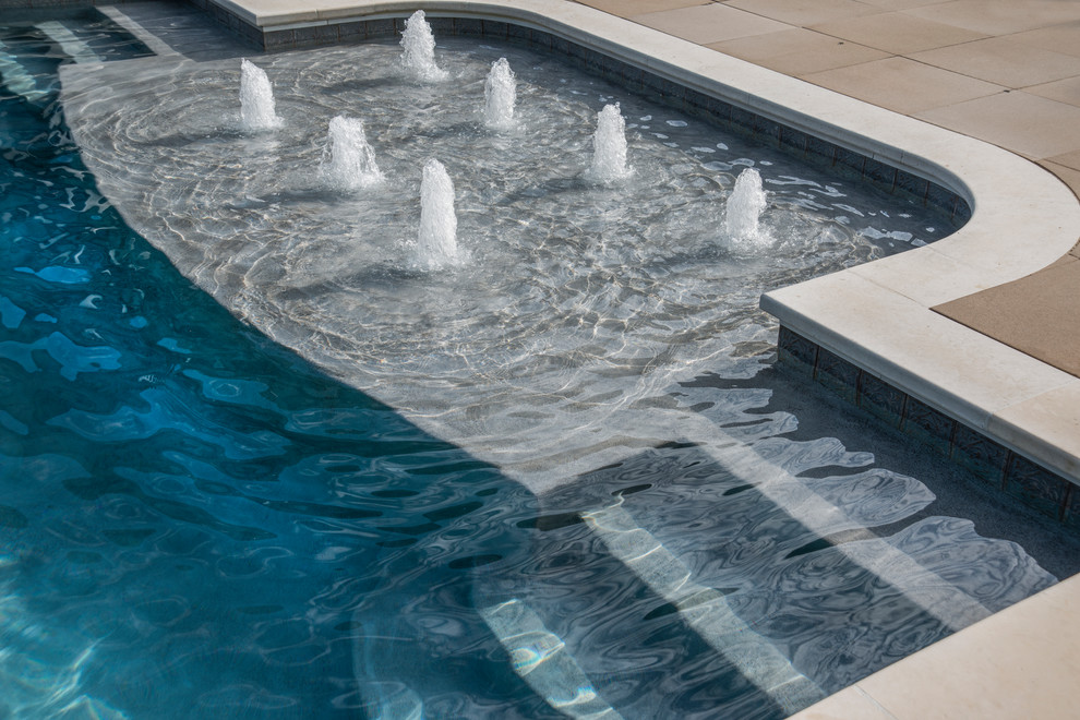 Naperville, IL Swimming Pool With Offset Sunshelf - Traditional - Pool ...