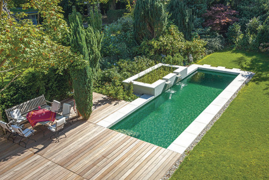 Natur-Pools - Pool - Stuttgart - by TeichMeister | Houzz