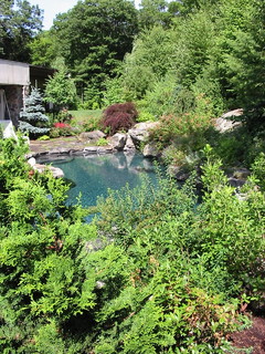 Natural boulder pool - Rustic - Pool - Louisville - by Bevins & Company ...