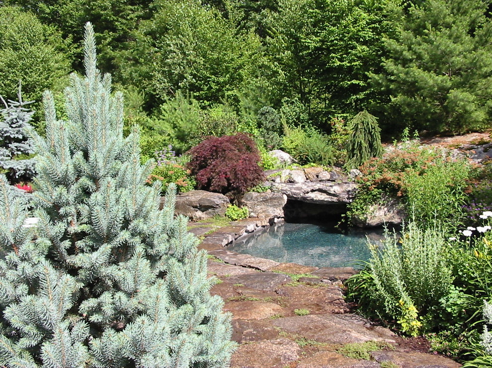 Natural boulder pool - Rustic - Pool - Louisville - by Bevins & Company ...