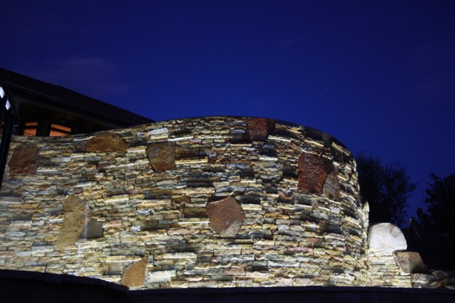 Natural Infinity Pool - Traditional - Pool - Austin - by Design Ecology ...