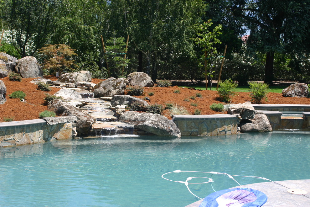 Natural Pool Raised back beam, Beach entry, and Spa - Classique ...