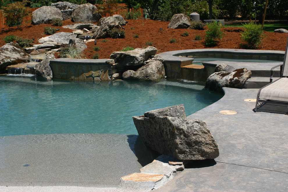 Natural Pool Raised back beam, Beach entry, and Spa - Traditional ...