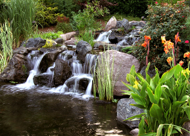 Natural Swim Pools, adding natural clarity and beauty into your ...