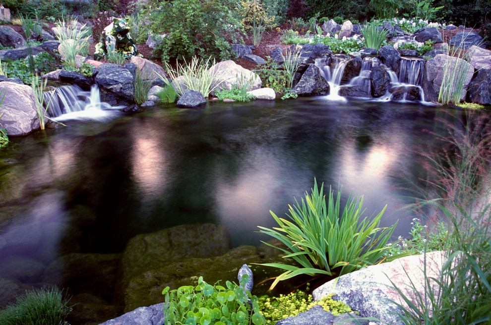 Natural Swim Pools, adding natural clarity and beauty into your ...