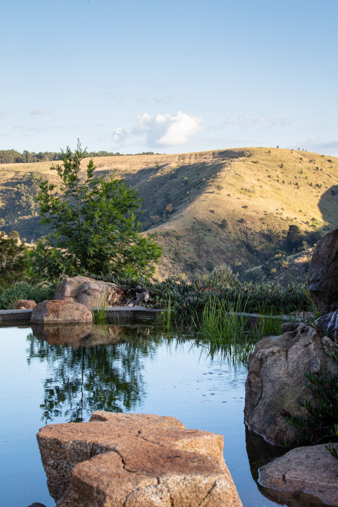Natural Swimming Pools - Pool - Melbourne - by Phillip Johnson ...