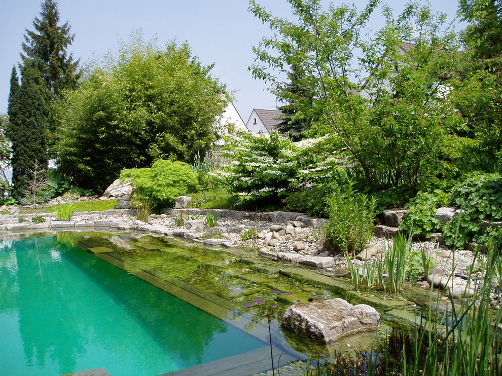 Pool Bepflanzung Mediterran