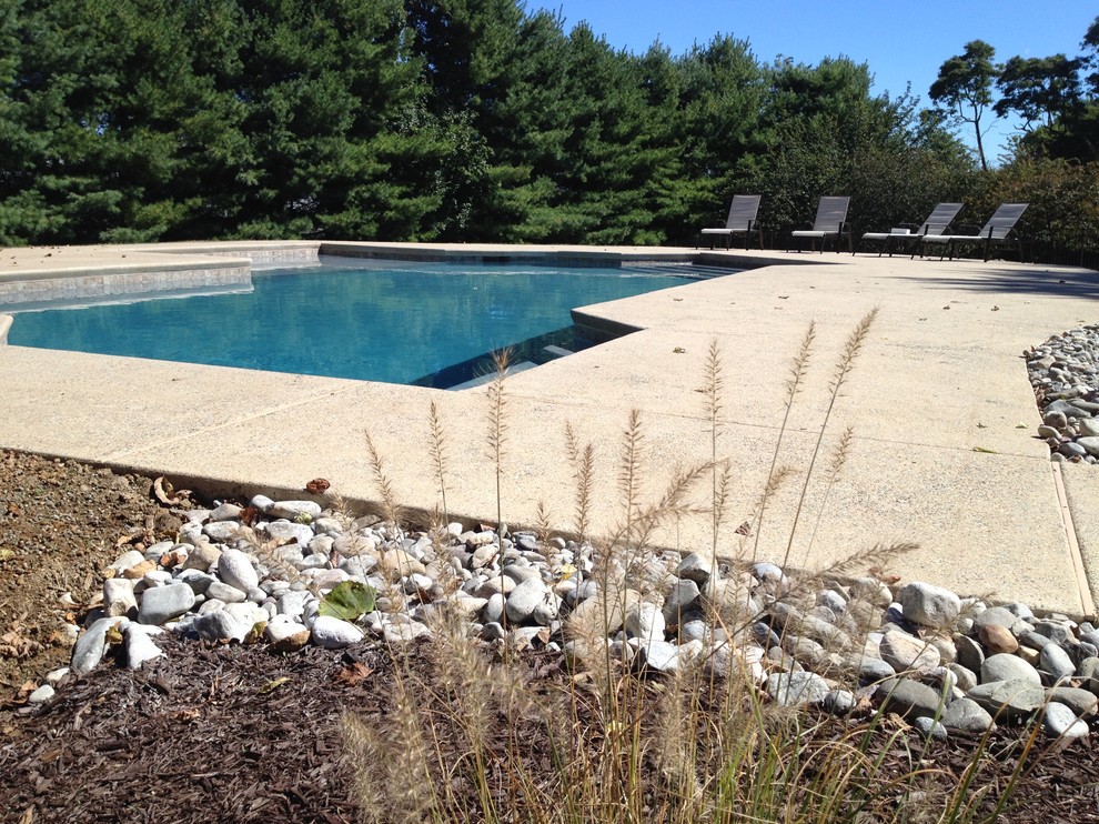 New Gunite Pools, By SQP, LLC - Classique - Piscine - Philadelphie ...