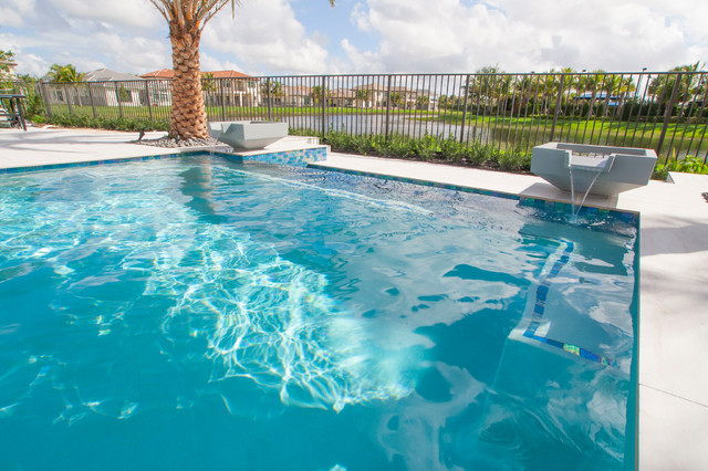 New Infinity Edge Pool With Custom Spa, Sunshelf and Water Bowls in ...