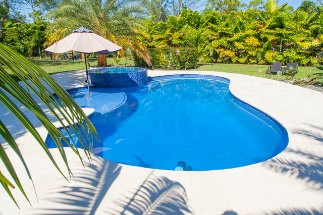 New Swimming Pool & Spa With Sunshelf in Parkland, Florida - Moderne ...