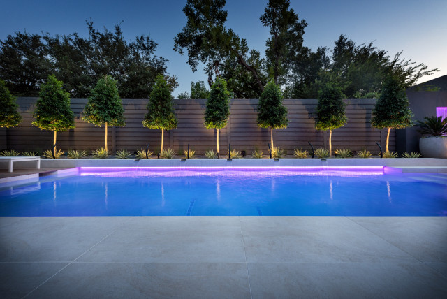 North Dallas Full Property Modern Landscape Design + Pool - Moderno ...