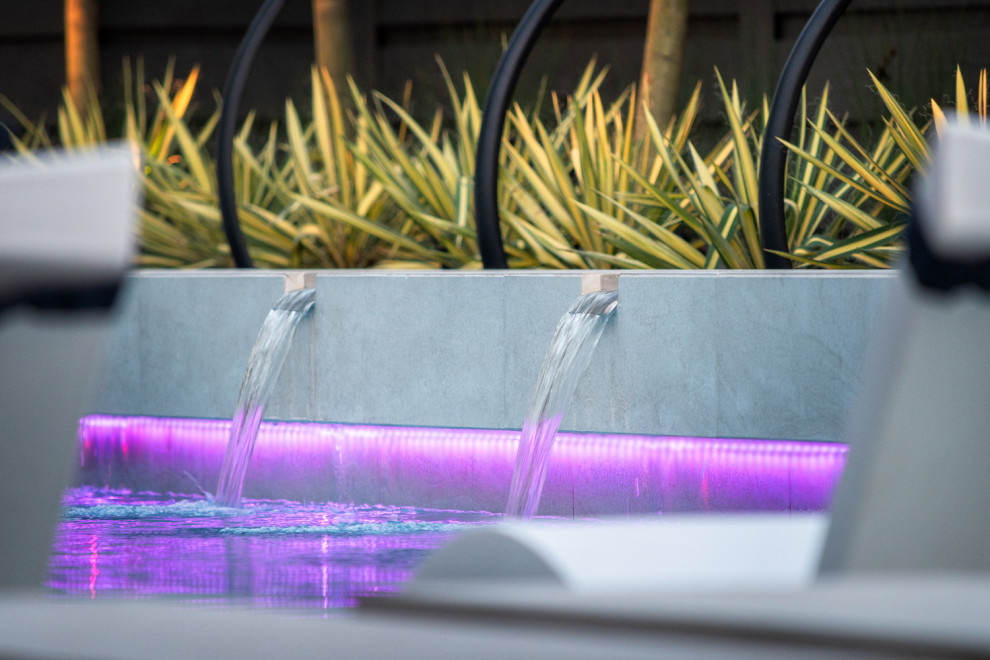 North Dallas Full Property Modern Landscape Design + Pool - Modern ...