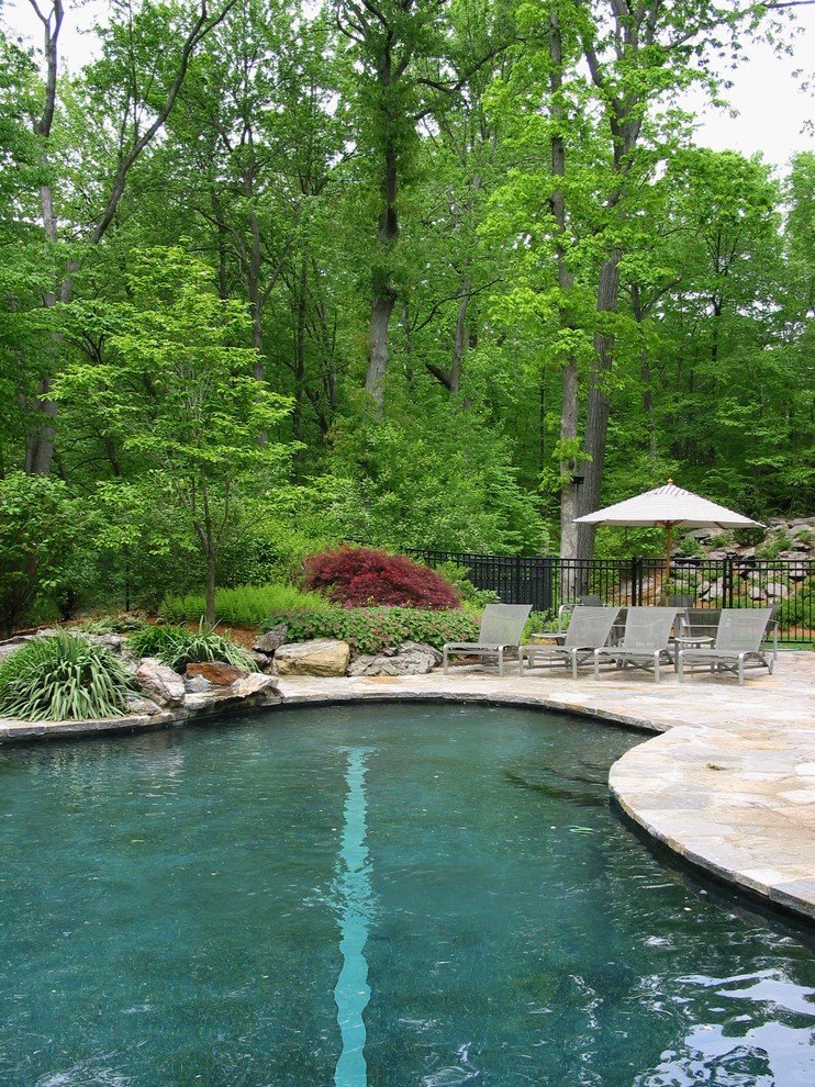 Norwalk Contemporary - Pool - Traditional - Pool - New York - by Rock ...