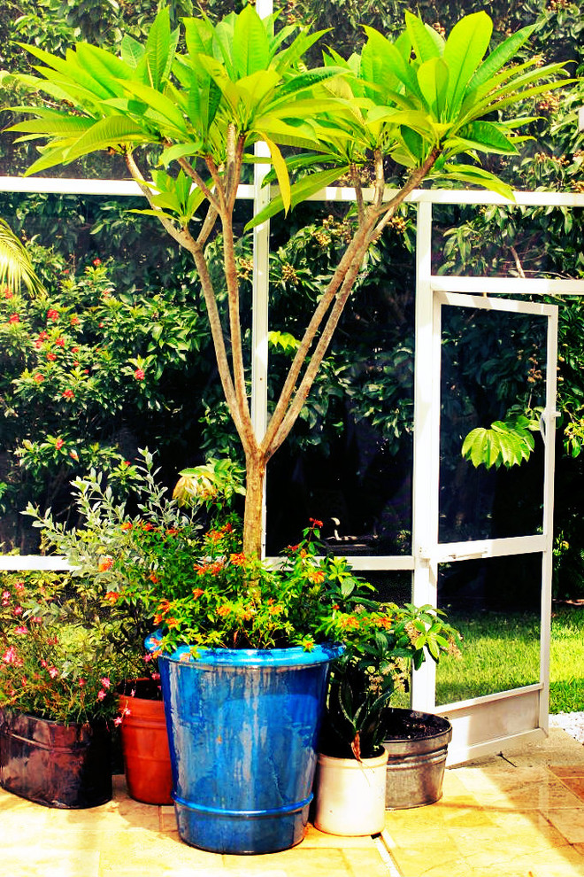 Old and New Planter Collection - Eclectic - Pool - Miami - by Pepper ...